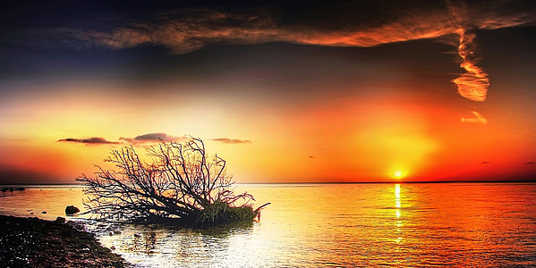 Royalty-Free photo: Wavy sea under sun | PickPik