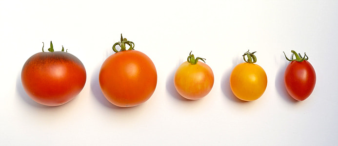 Royalty-Free photo: Closeup photo of five red tomatoes | PickPik
